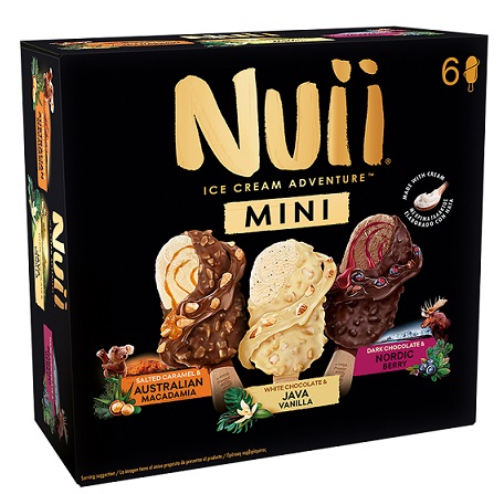 Ice cream Salted Caramel, White Chocolate, Dark Chocolate Nuii Mini ...